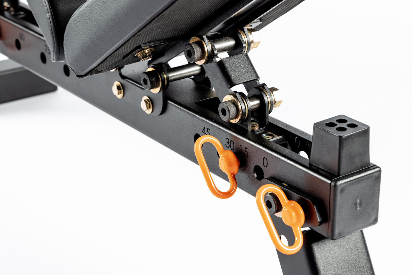 Phoenix Adjustable Bench